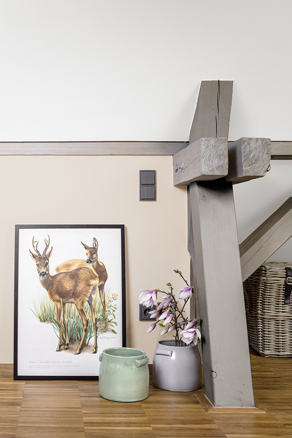 Caparol Premium Clean - матовая интерьерная краска премиум-класса